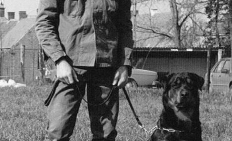 Our history - About K9 Evolution